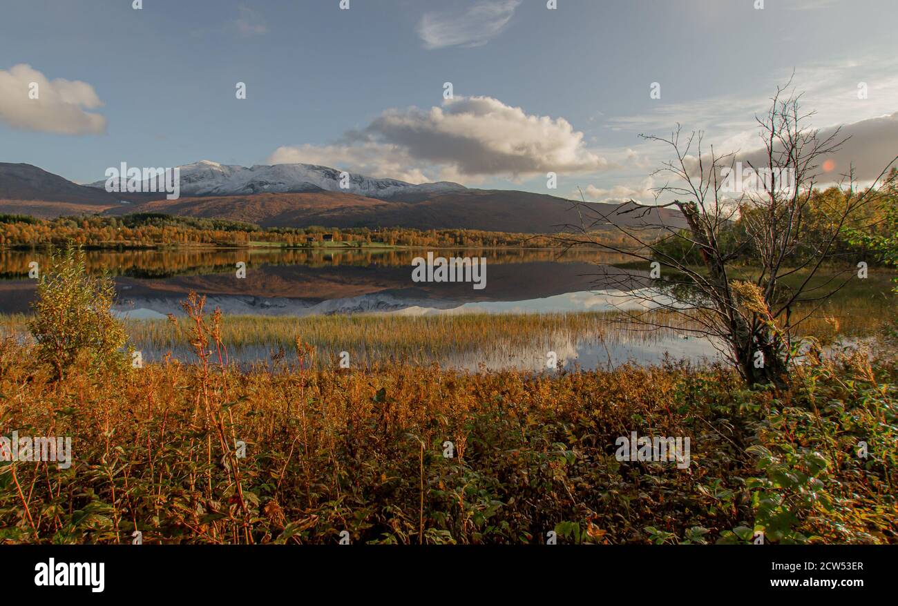 Windless lake hi-res stock photography and images - Alamy