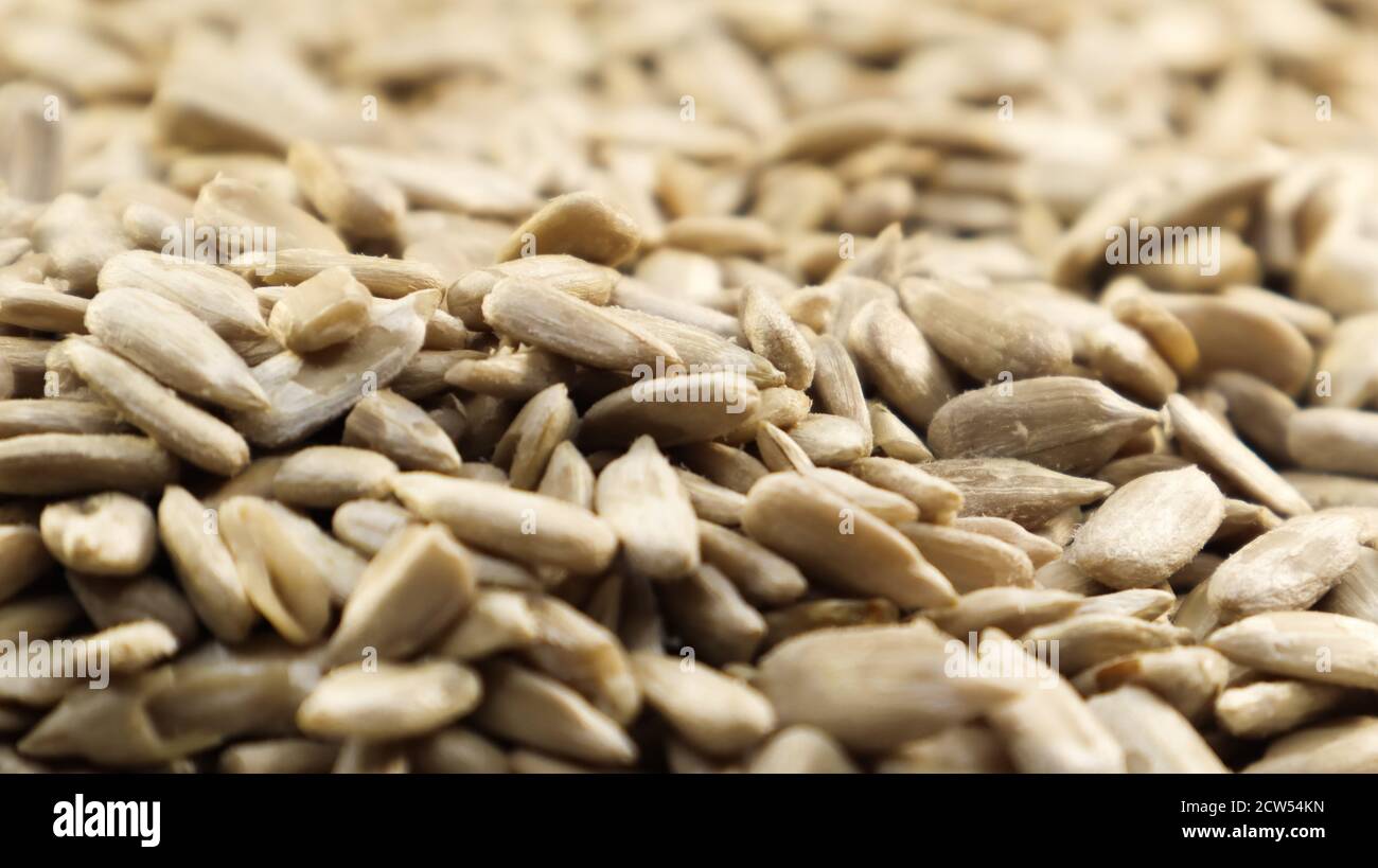 Sunflower seeds, peeled, without shell. Background of peeled not ...