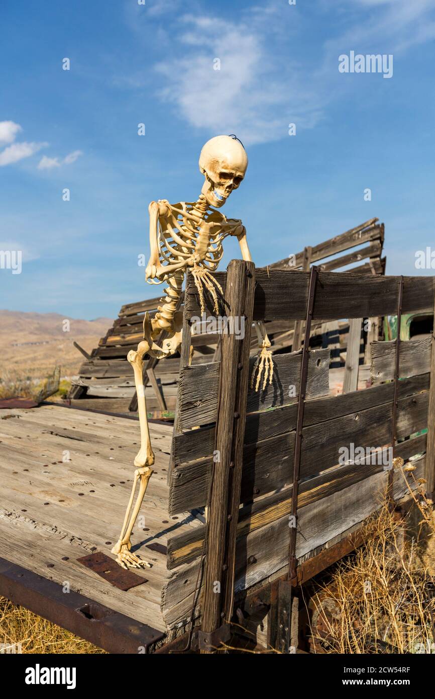Skeleton standing on an old truck bed in a dead grass field Stock Photo ...
