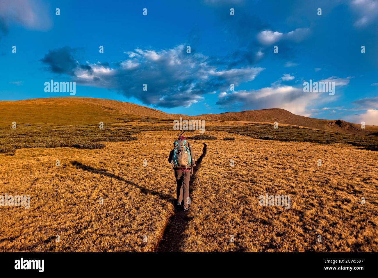 Hiking to the Snow Mesa on the 485 mile Colorado Trail, Colorado Stock ...