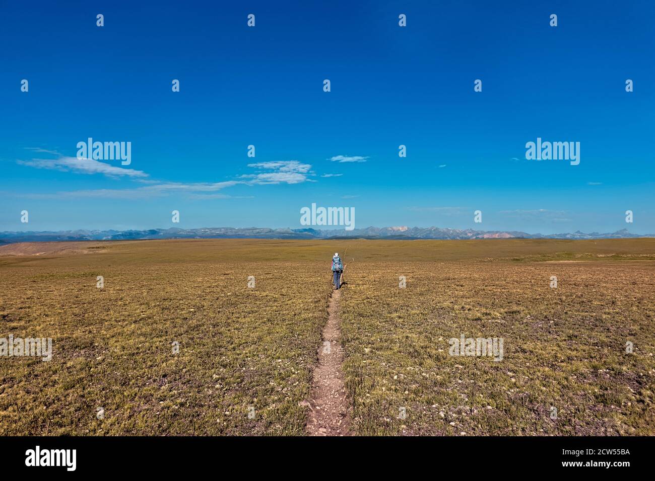 Mesa trail colorado hi-res stock photography and images - Alamy