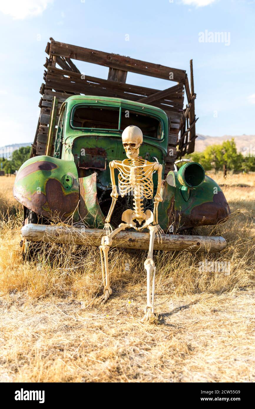 Sitting On Truck Bed High Resolution Stock Photography and Images - Alamy