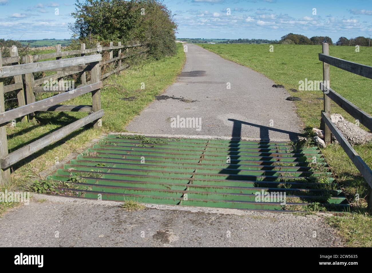 Cattle grid to control cattle at the end of a single track road in the ...