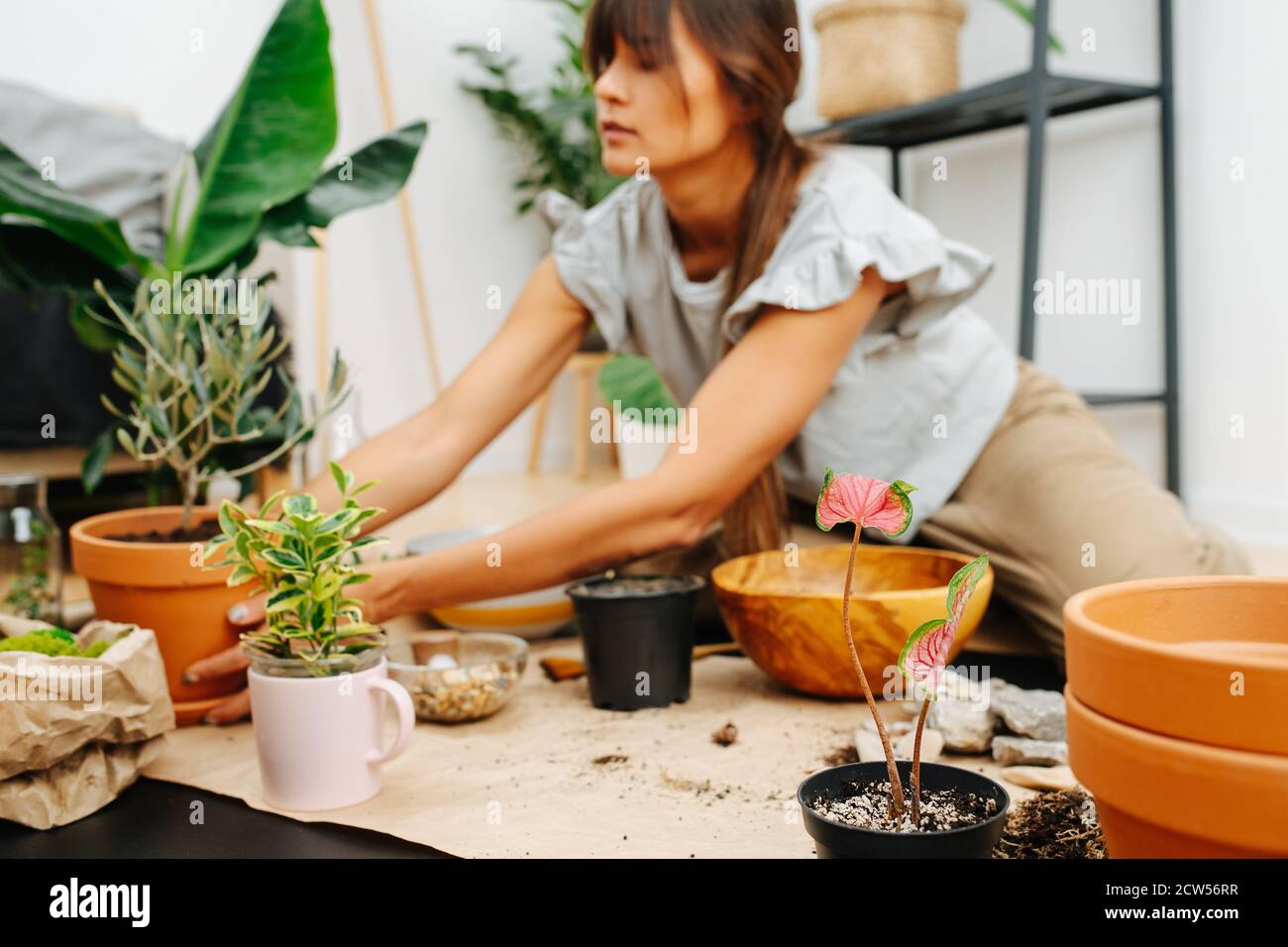 Young woman replanting house plants, placing pot on the floor Stock ...