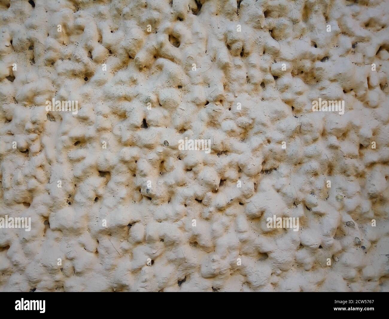 Dirty white fur texture hi-res stock photography and images - Alamy