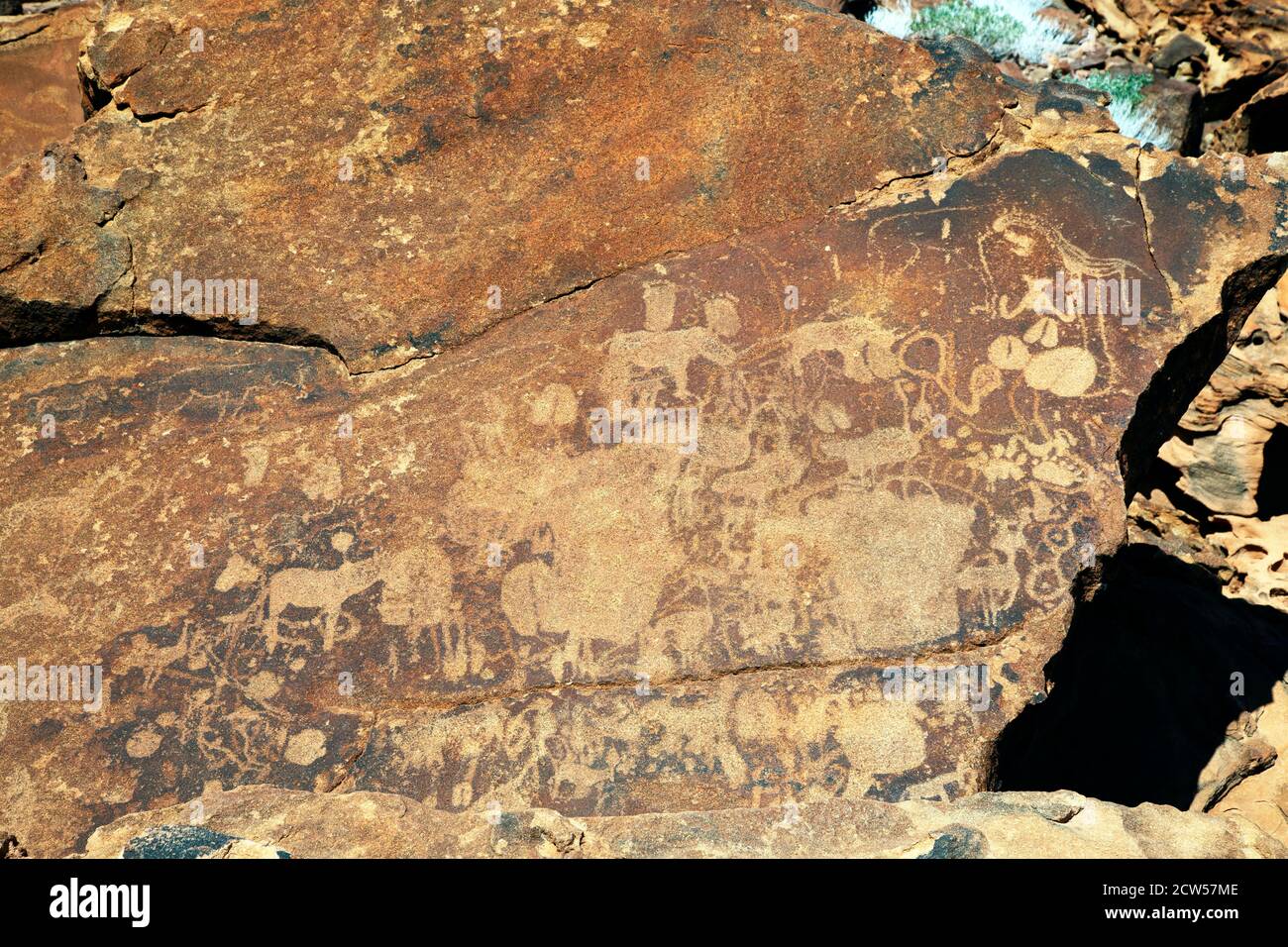 Prehistoric rock engravings of animals adorning sandstone slabs at ...