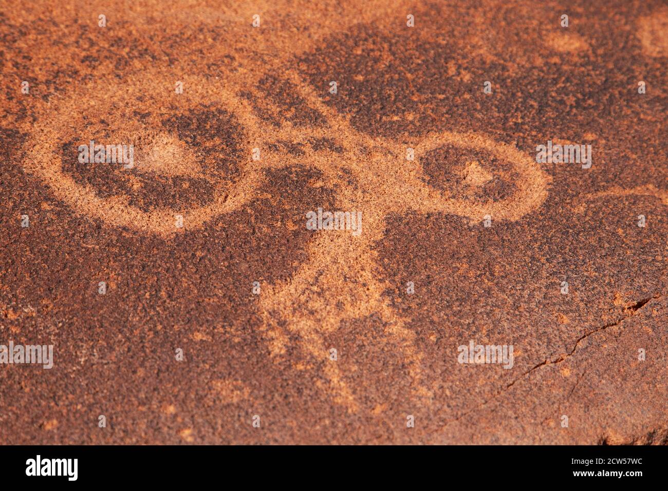 Prehistoric rock engravings of animals adorning sandstone slabs at ...