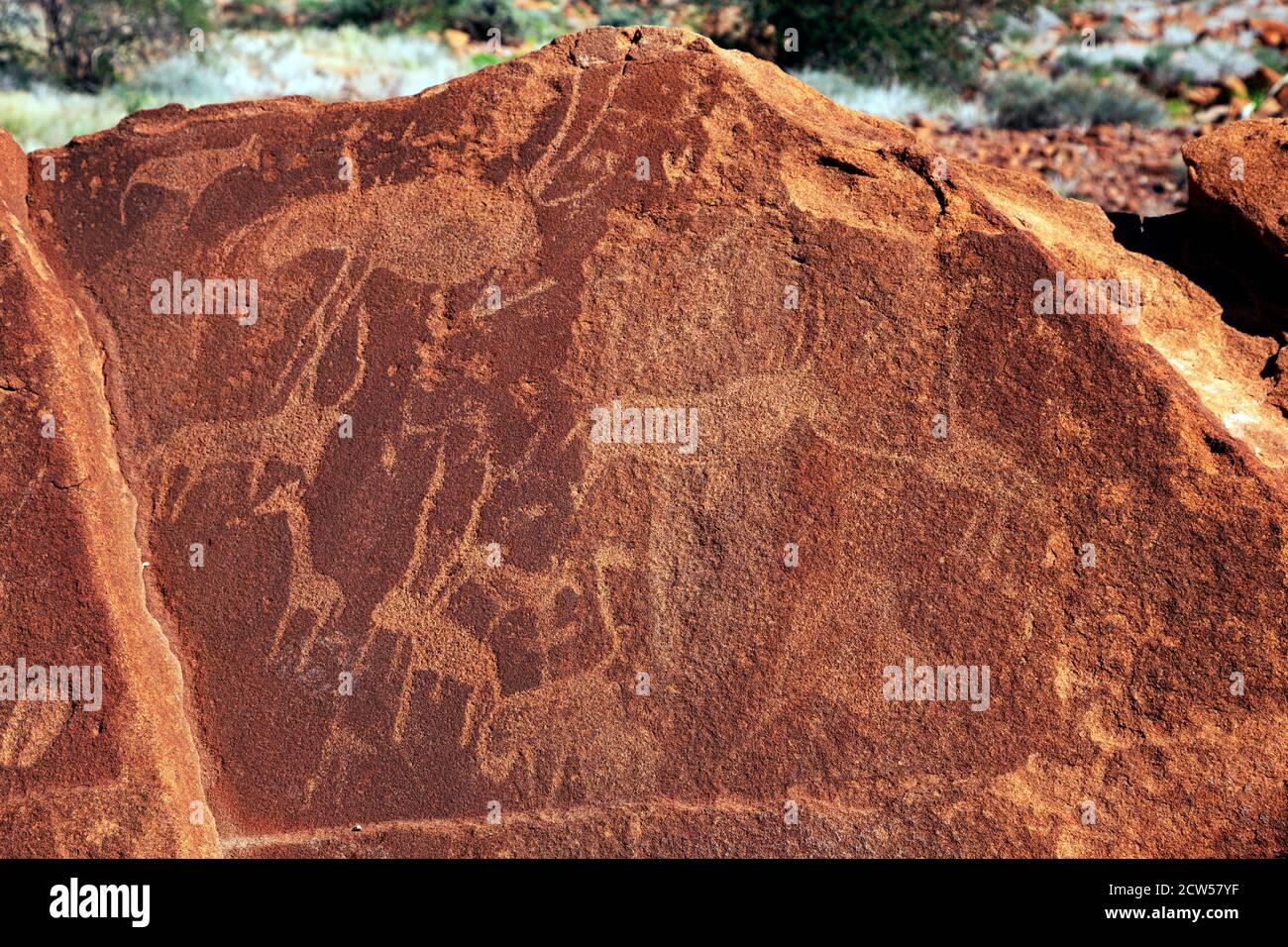 Prehistoric rock engravings of animals adorn a sandstone slab at ...