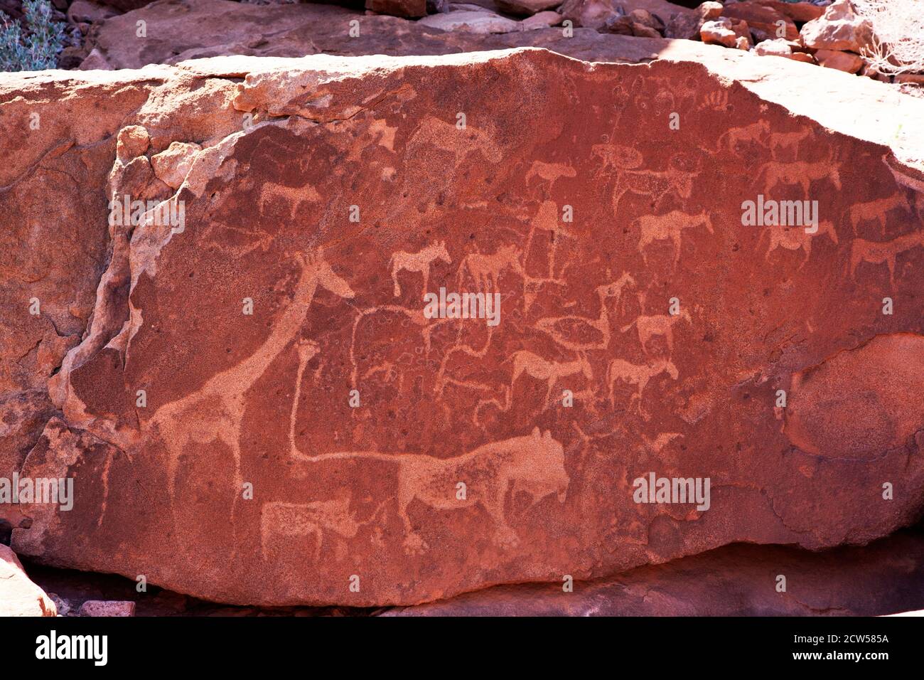 Prehistoric rock engravings of animals adorn a sandstone slab at ...