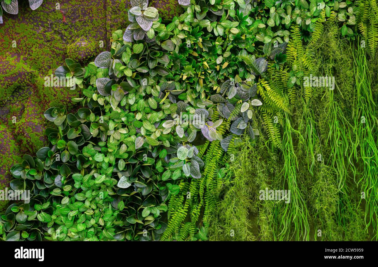 Background of green plants from plastic. Artificial decorative texture ...