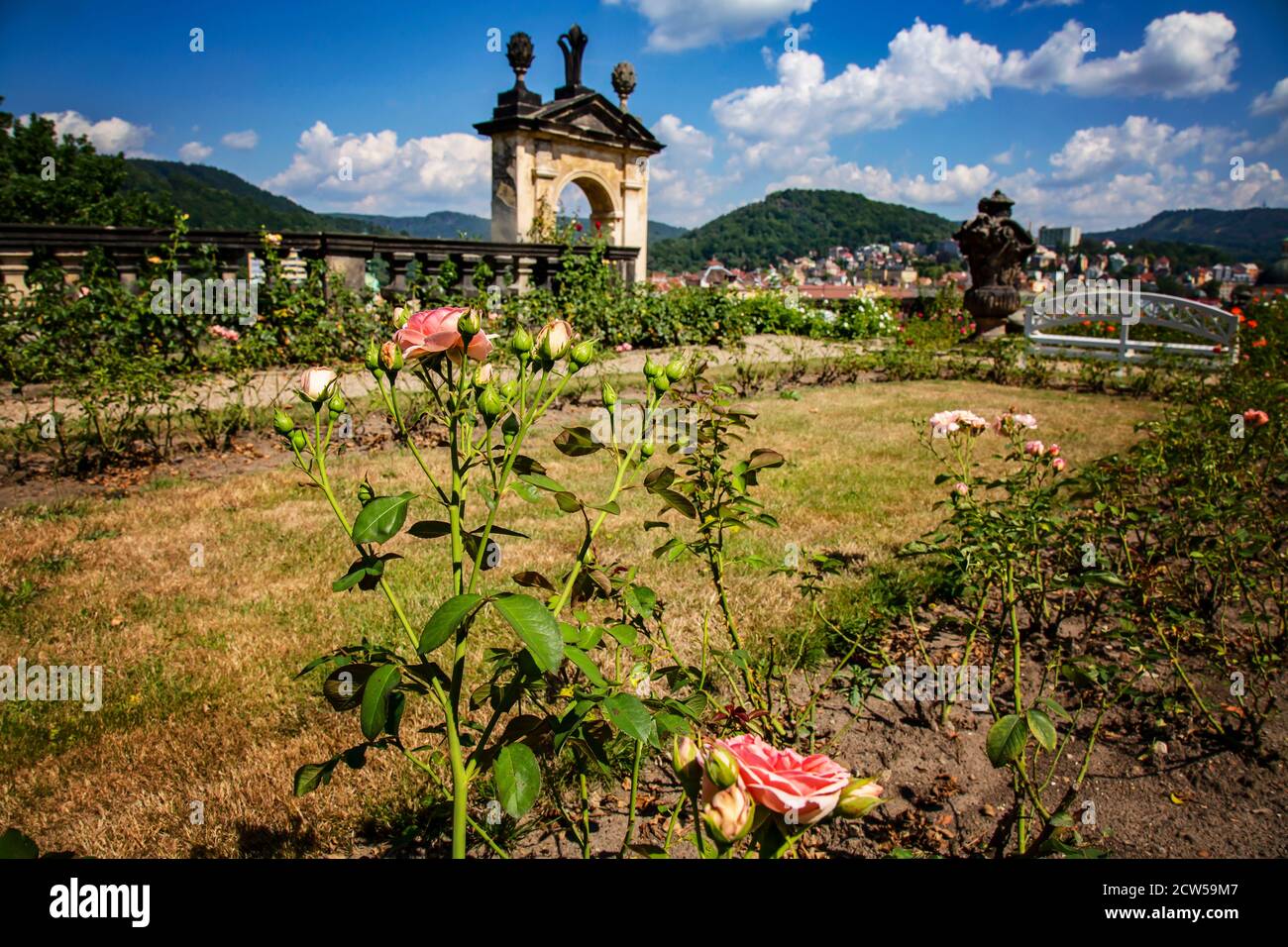 Decin castle rose garden, Decin city, Czech republic Stock Photo - Alamy