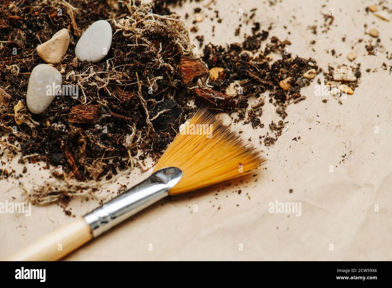 Brush, soil, roots and pebbles close up on a floor Stock Photo - Alamy