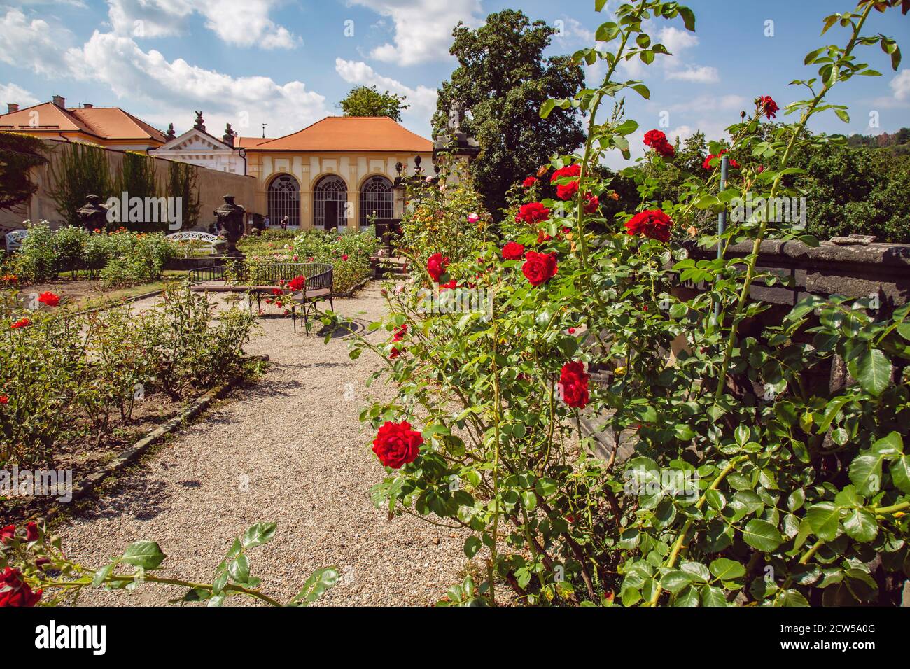 Decin castle rose garden, Decin city, Czech republic Stock Photo - Alamy