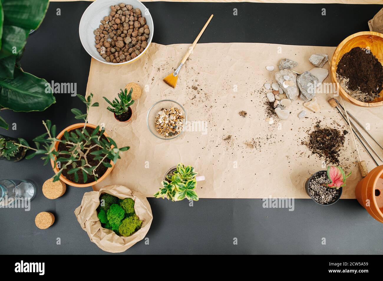 Top view of a mat with indoor gardening theme items on the floor Stock ...