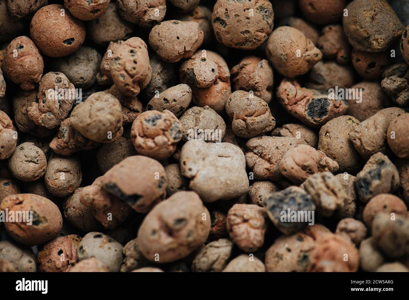 Close up texure of artificial clay stones for gardening Stock Photo - Alamy