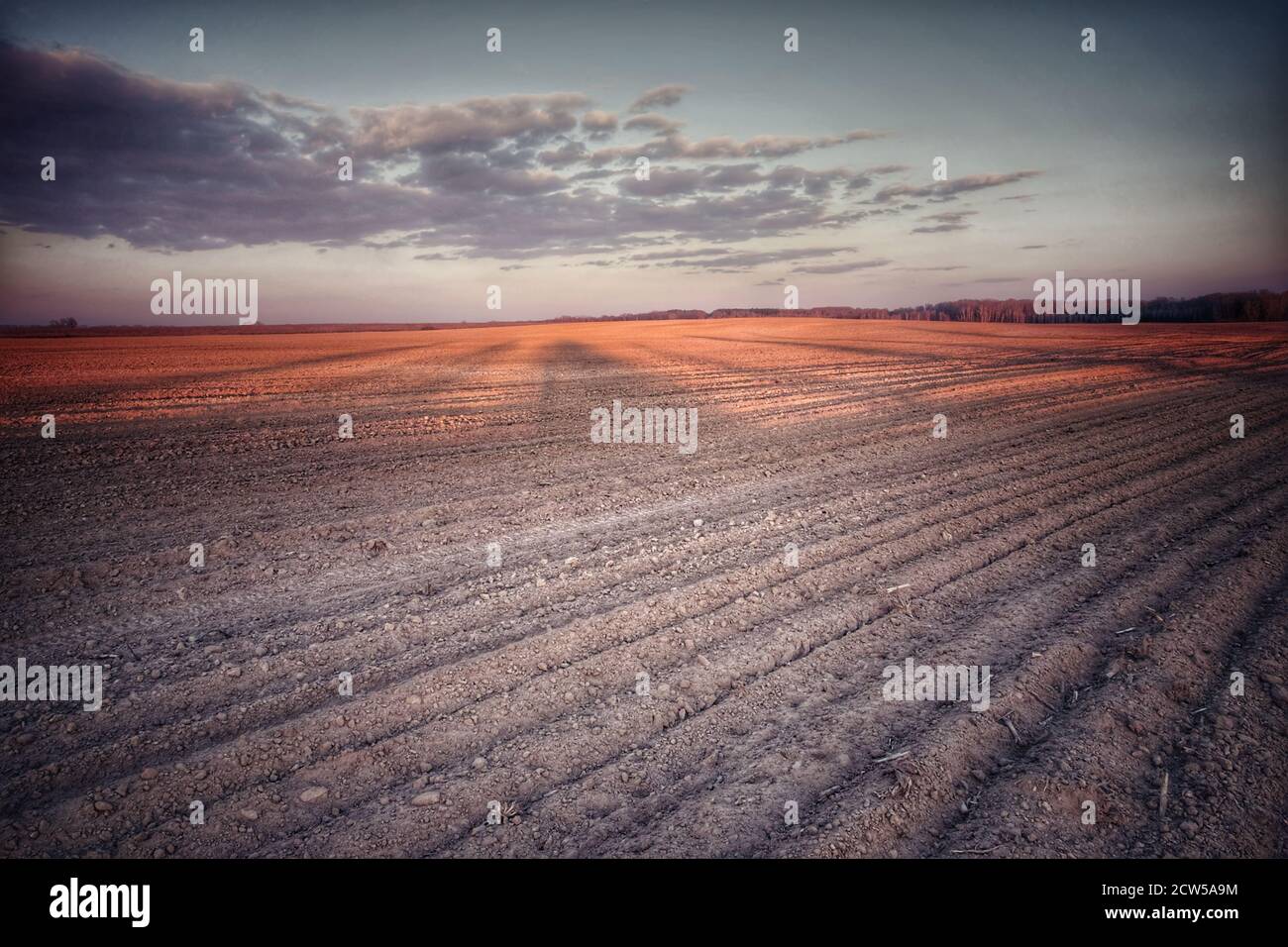 Cloudy evening sky over an empty agricultural field. Bright sunset ...