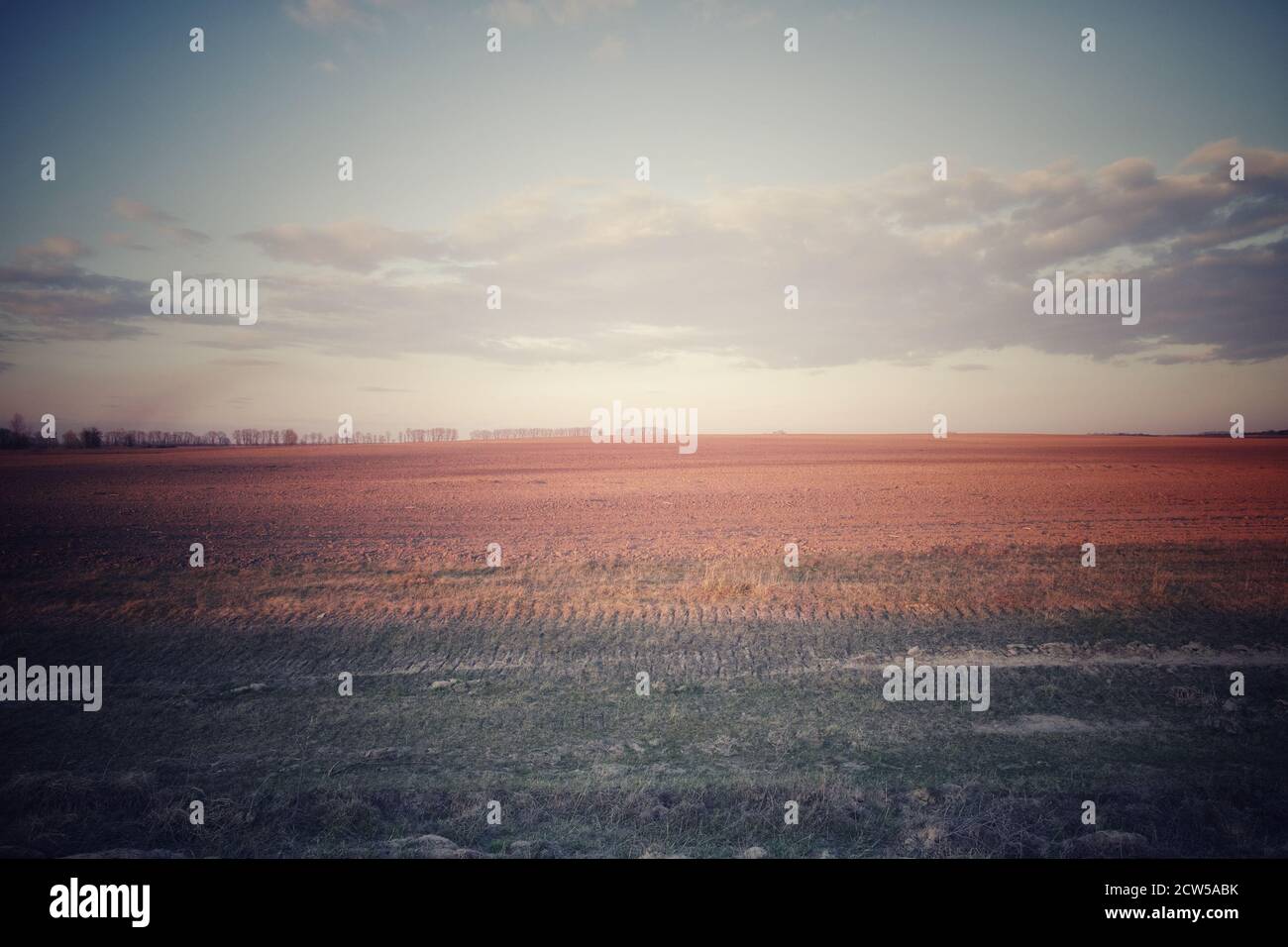 Plain landscape hi-res stock photography and images - Alamy
