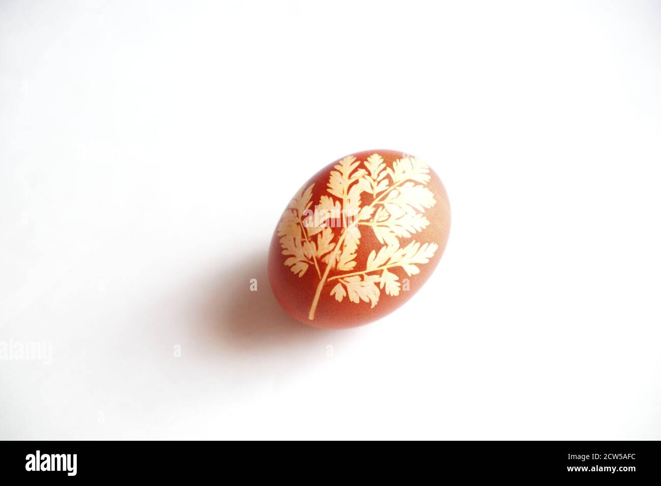 Painted Easter egg on a white background. Floral pattern on a red ...