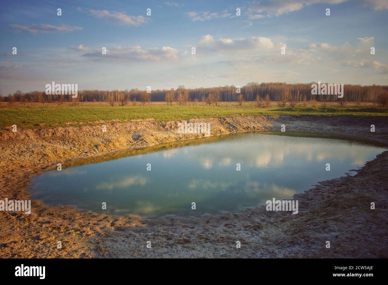 A small drying pond in the evening in the field. Cloudy sky over the ...