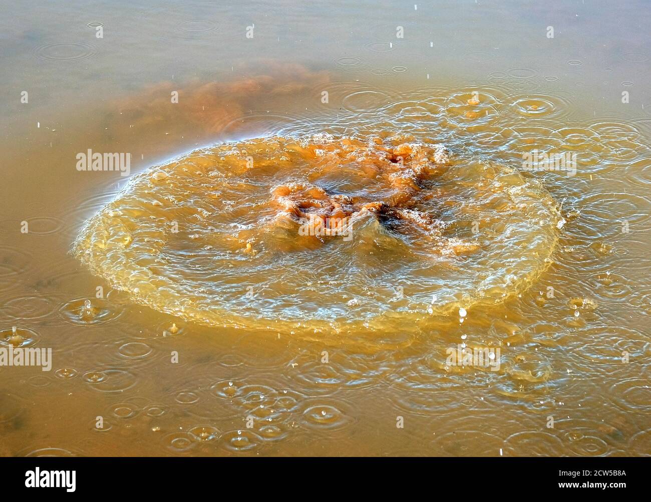 Disturbed water surface hi-res stock photography and images - Alamy
