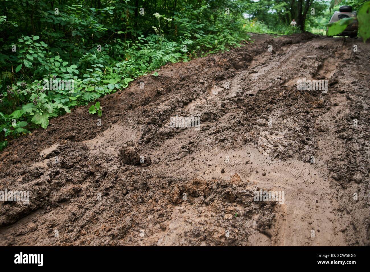 road wet muddy of backcountry countryside in rainy day Stock Photo - Alamy