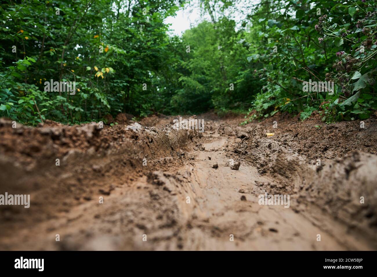 road wet muddy of backcountry countryside in rainy day Stock Photo - Alamy