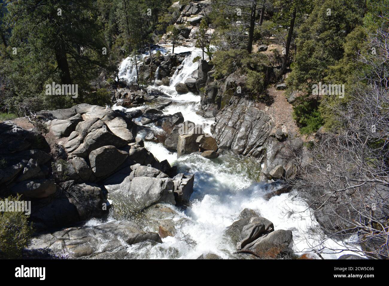 Water flowing between the stones Stock Photo - Alamy