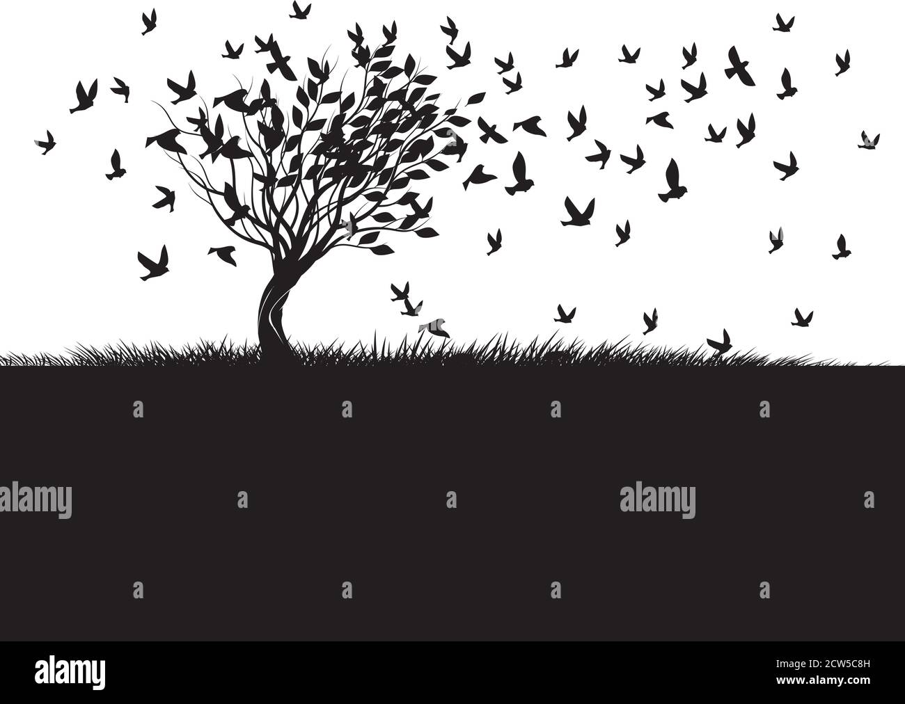 Vector of birds Stock Vector Images - Alamy
