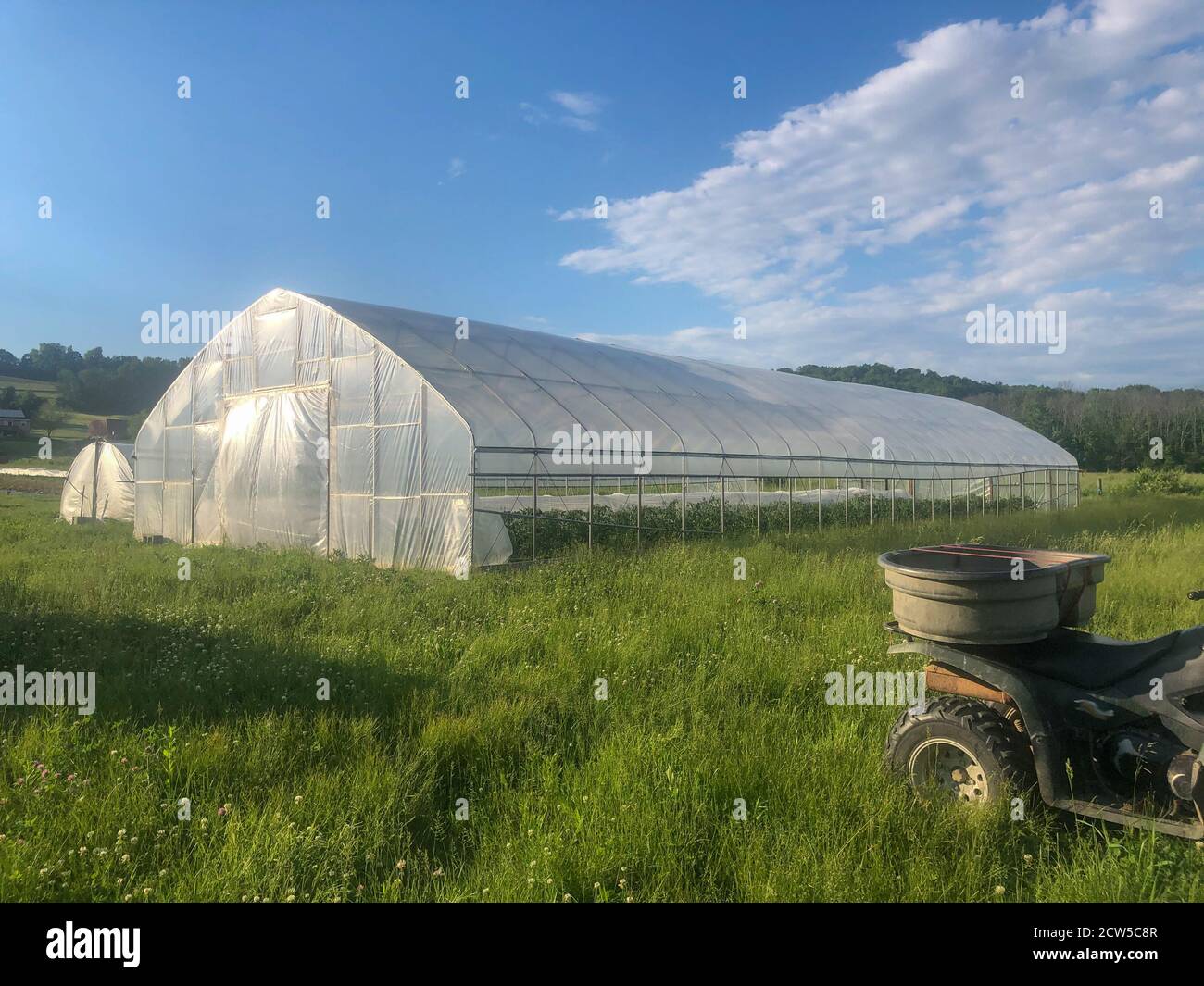 Farming farm greenhouse greenhouses hi-res stock photography and images - Alamy