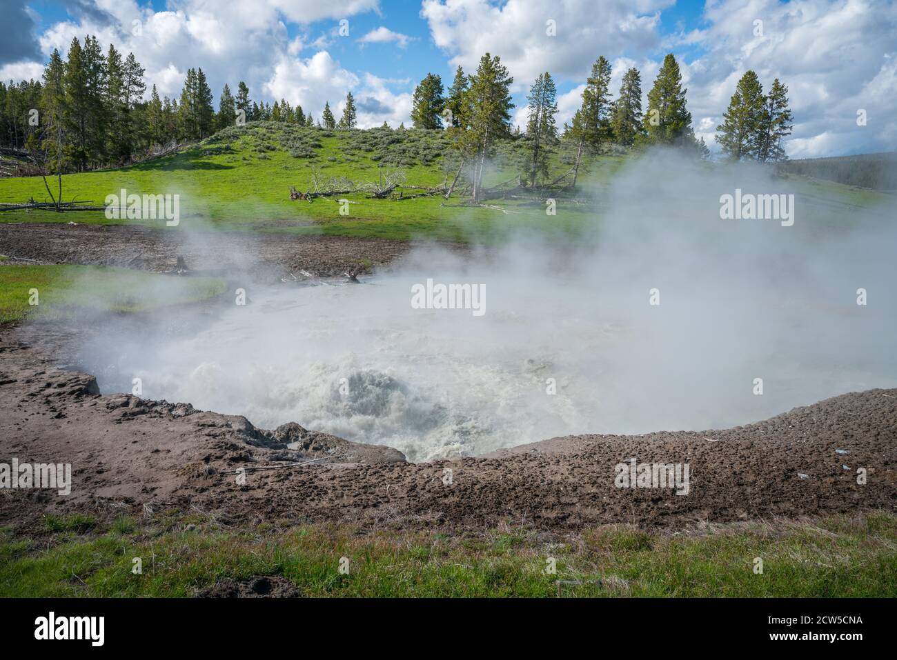 hiking the mud volcano trail, yellowstone national park, wyoming, usa ...