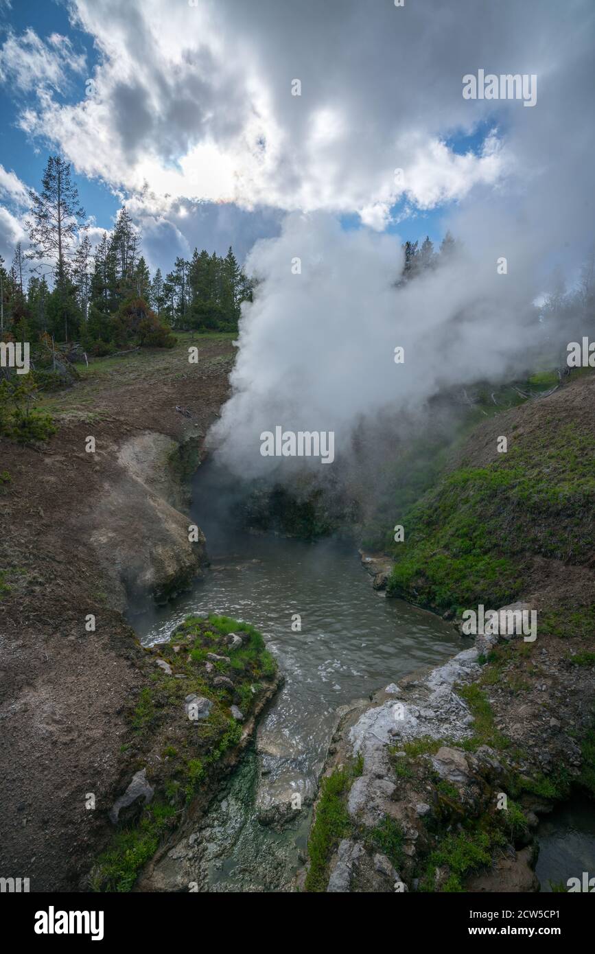 hiking the mud volcano trail, yellowstone national park, wyoming, usa ...
