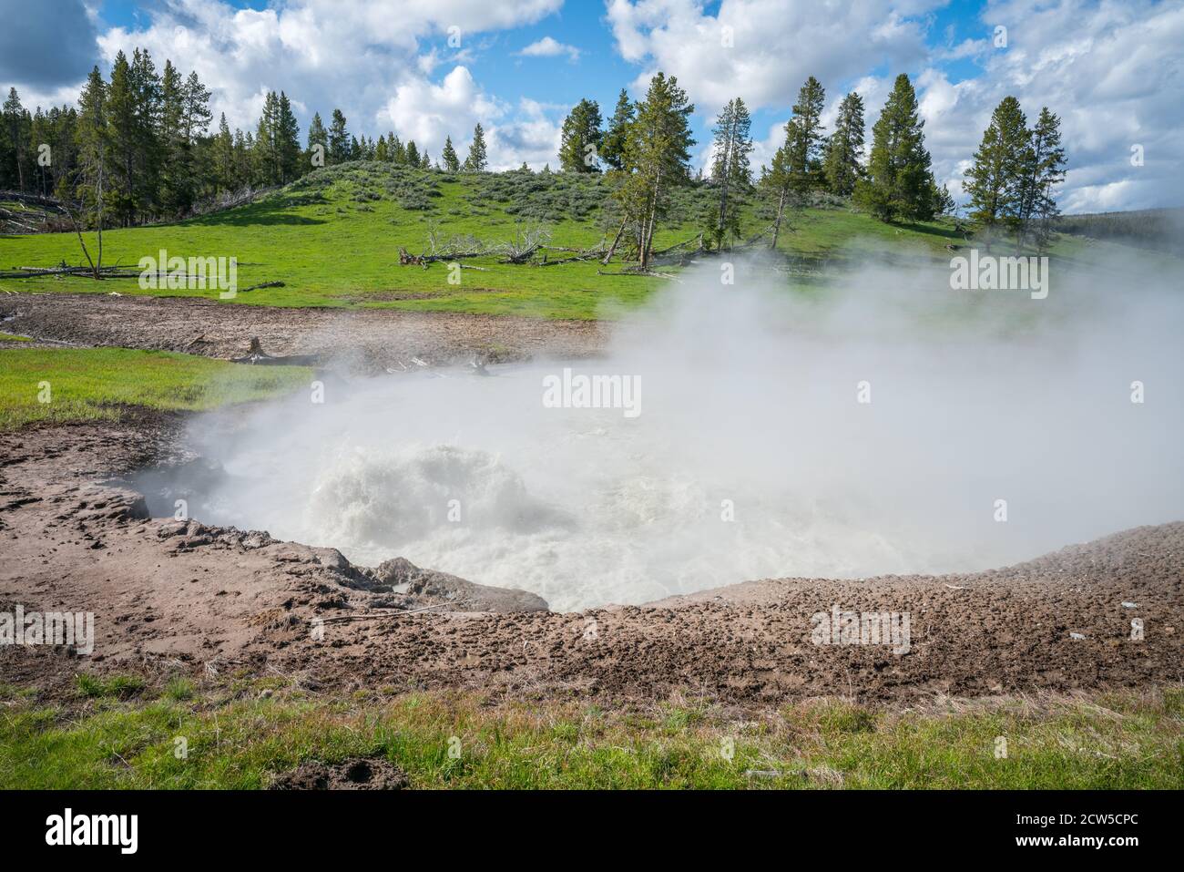 hiking the mud volcano trail, yellowstone national park, wyoming, usa ...