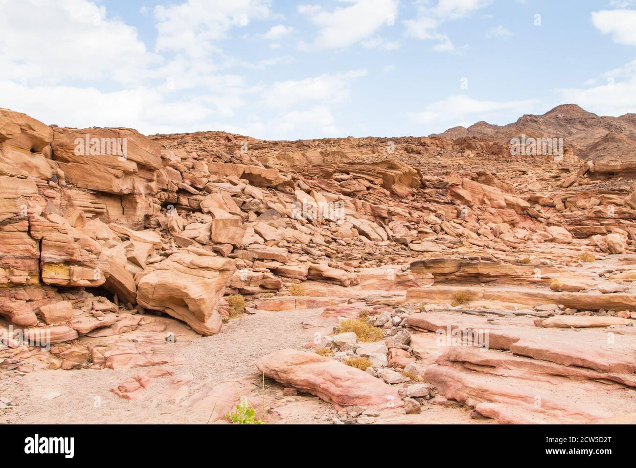 Colored canyon with red rocks. Egypt, desert, the Sinai Peninsula ...