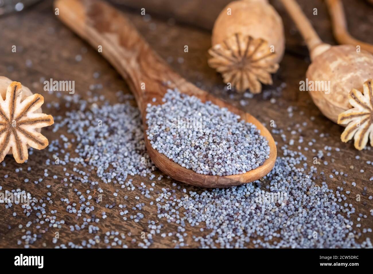 Dry poppy pods with seeds hi-res stock photography and images - Alamy
