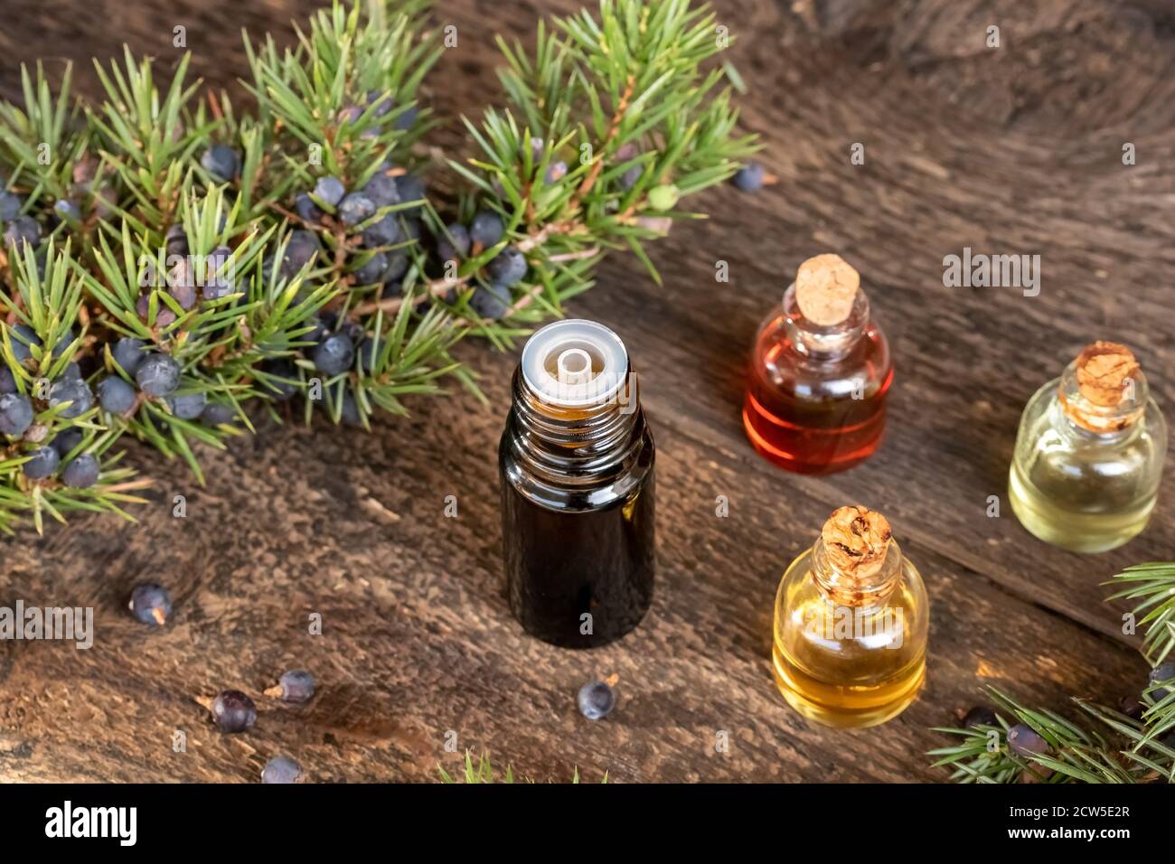 A dropper bottle of essential oil with juniper branches and berries ...