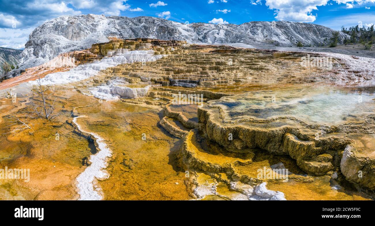 Mammoth Hot Springs in yellowstone national park, wyoming, usa Stock ...