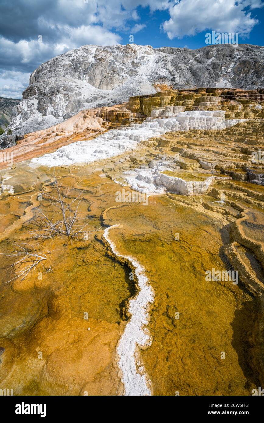 Mammoth Hot Springs in yellowstone national park, wyoming, usa Stock ...