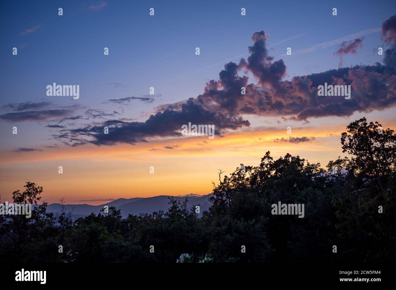 Night sky french riviera hi-res stock photography and images - Alamy
