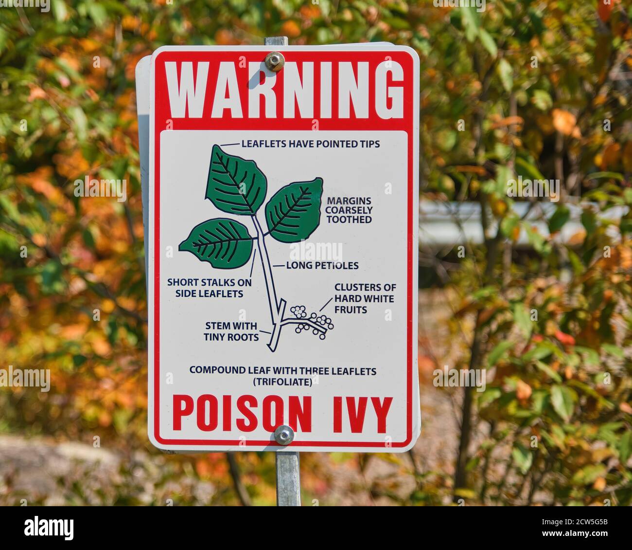 A descriptive warning sign informing people that there is poison ivy in ...