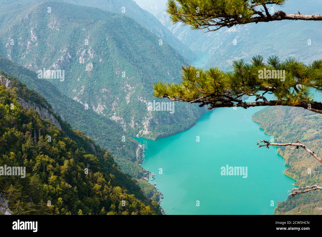 Tara National Park, Serbia. Viewpoint Banjska Stena. View at Drina ...