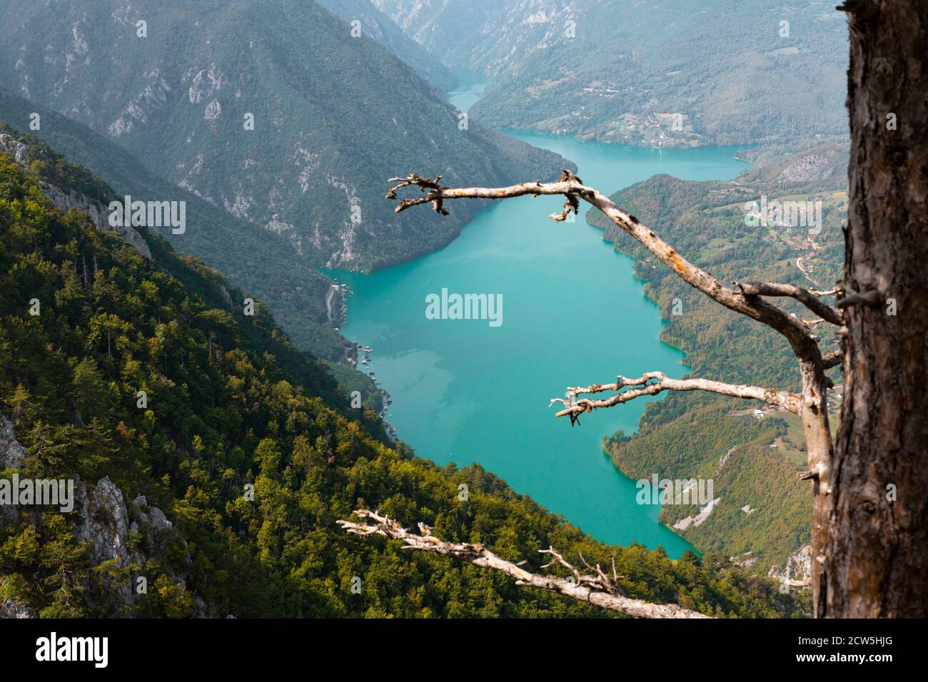 Tara National Park, Serbia. Viewpoint Banjska Stena. View at Drina ...