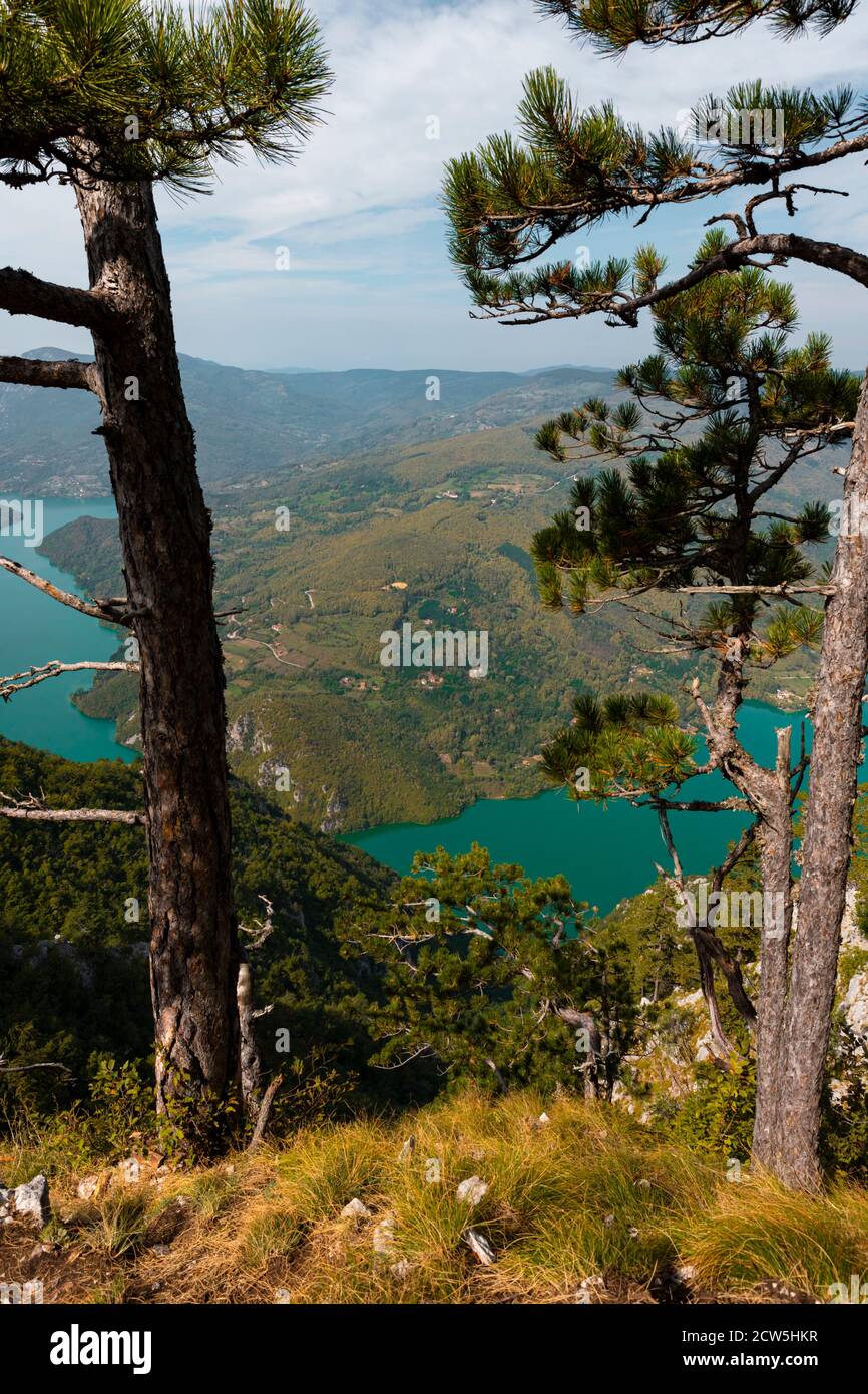 Tara National Park, Serbia. Viewpoint Banjska Stena. View at Drina ...