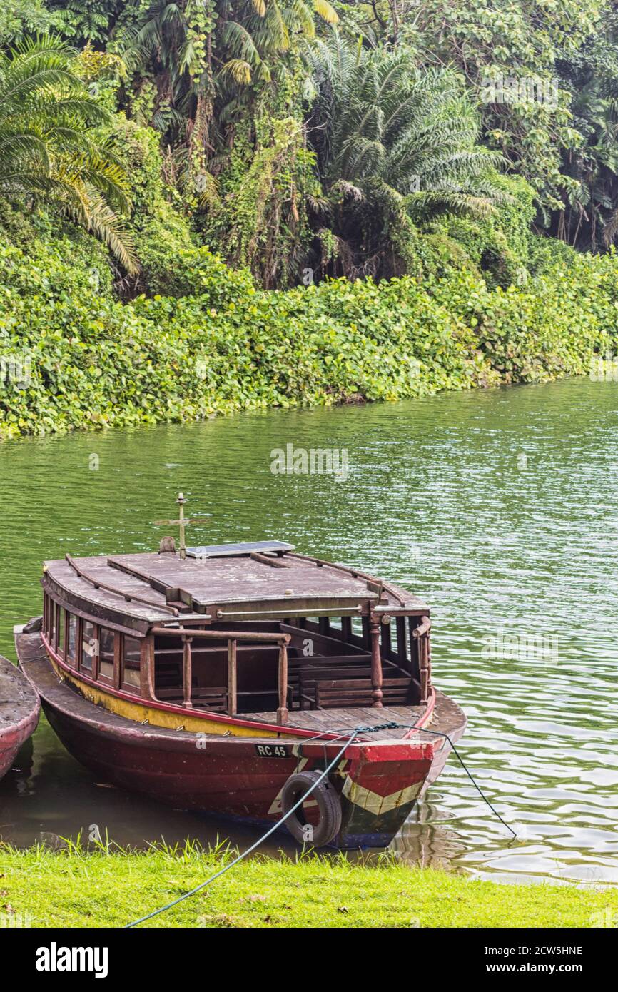 Boat on the river in the jungle Stock Photo - Alamy
