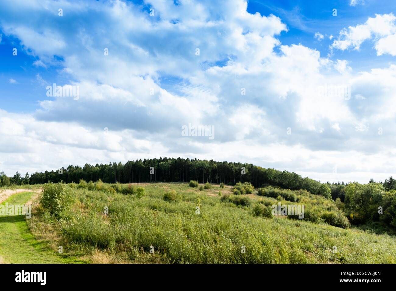 A scenic view of a distant forest in the countryside from a country ...