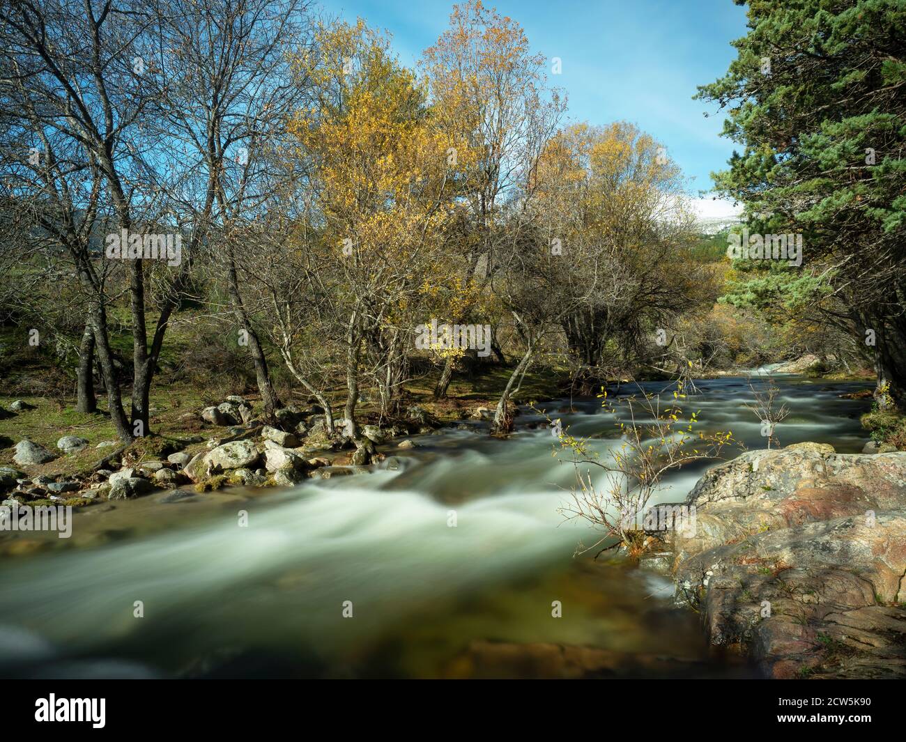 River water flows between the trees in the Manzanares Basin Natural ...