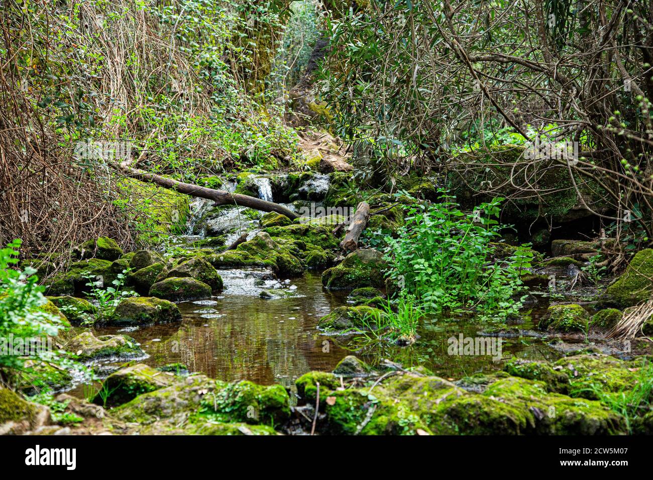 Dragging lake hi-res stock photography and images - Alamy