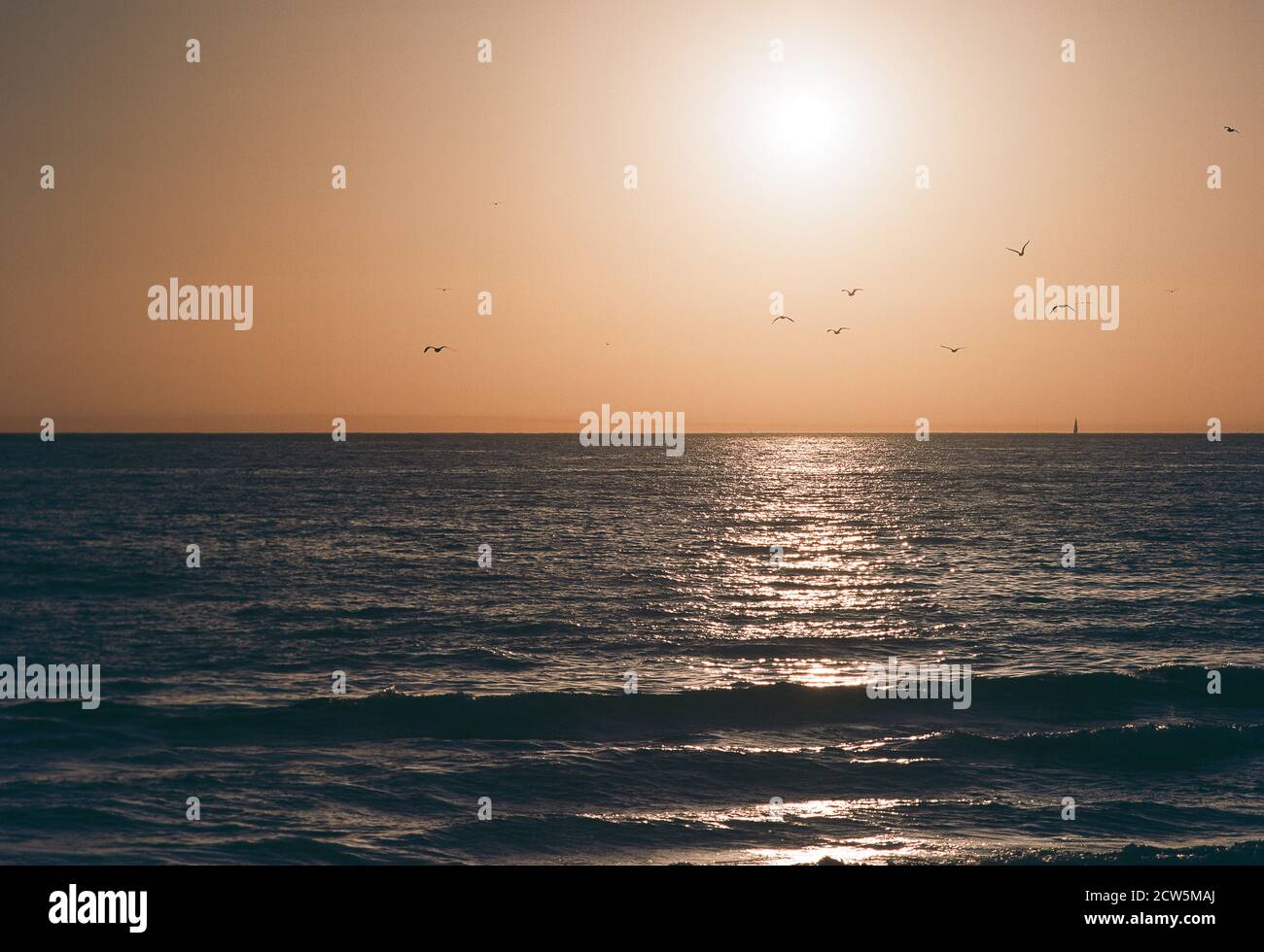Moody orange sunset over the blue ocean with birds and a sailboa Stock ...