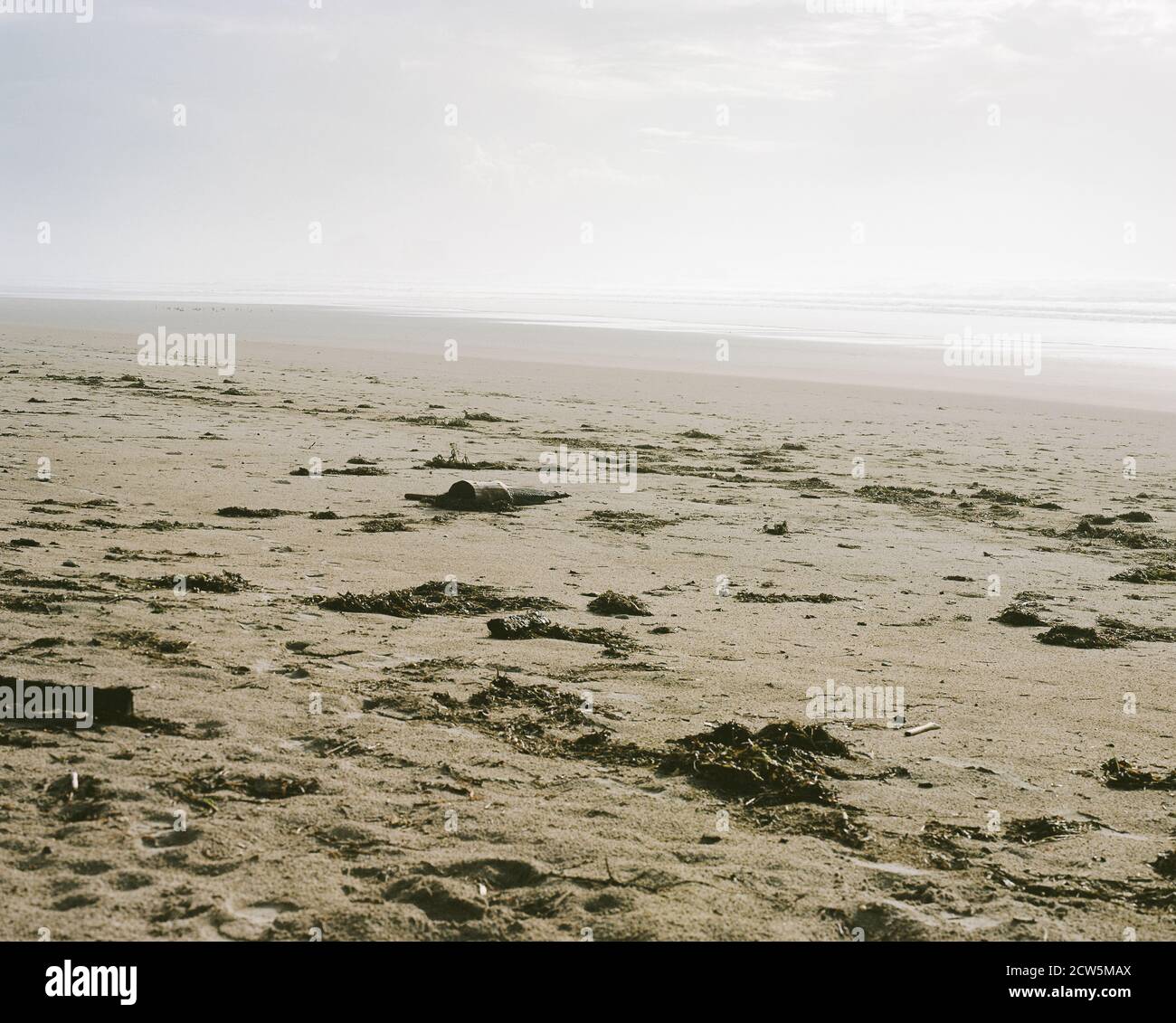 Cold beach with washed up seaweed and heavenly sky Stock Photo - Alamy