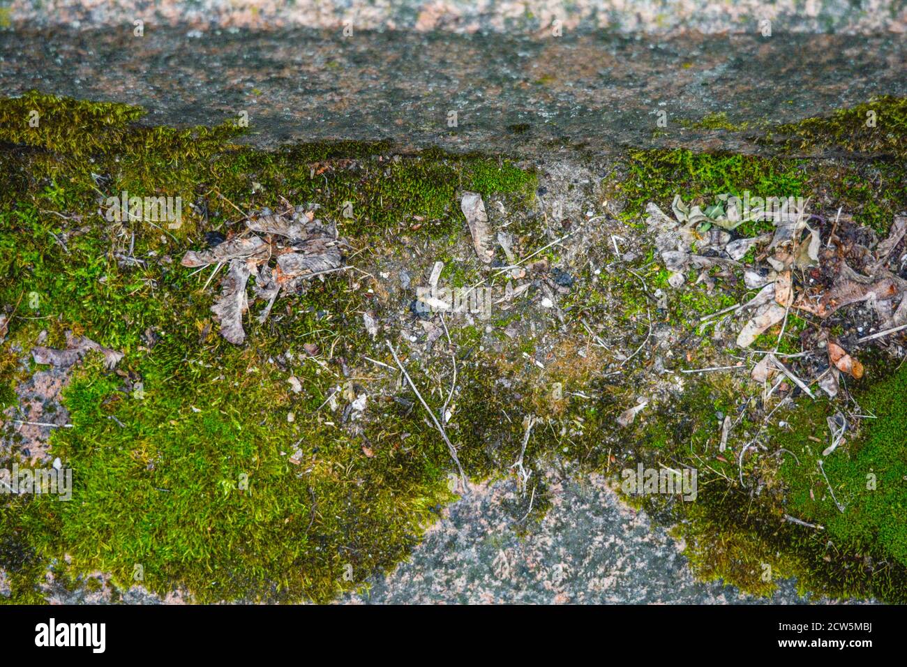 Texture of old red granite stone wall with layered green moss. Natural ...