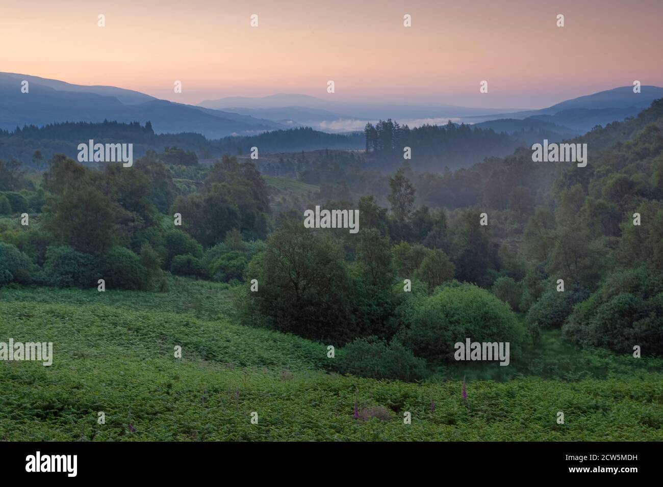 Scotch landscape hi-res stock photography and images - Alamy